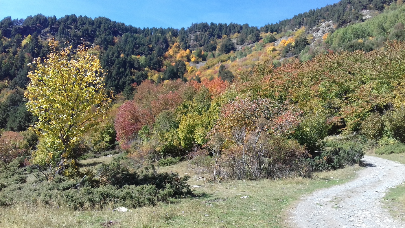 Un viaggio in Val d'Aran alla scoperta dei colori autunnali - Eri Arte